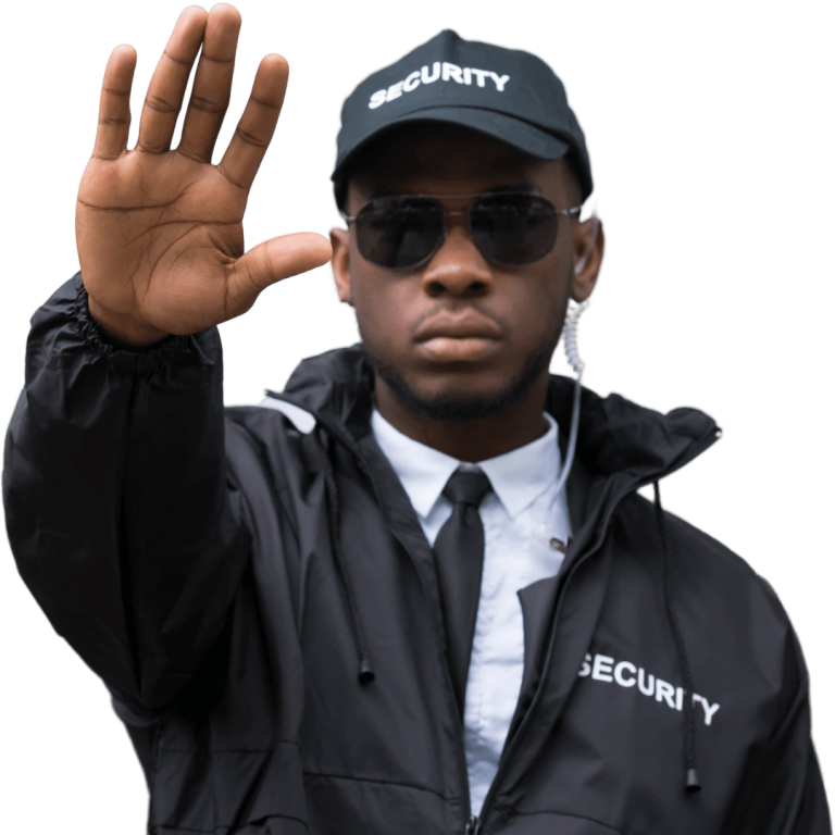 Unveiling Security: Undercover Loss Prevention Services In Bellevue